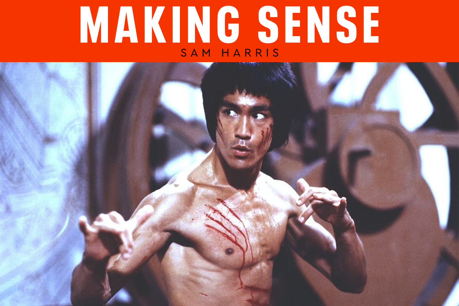 Sam Harris | #316 - Self-Defense: Reality and Fantasy