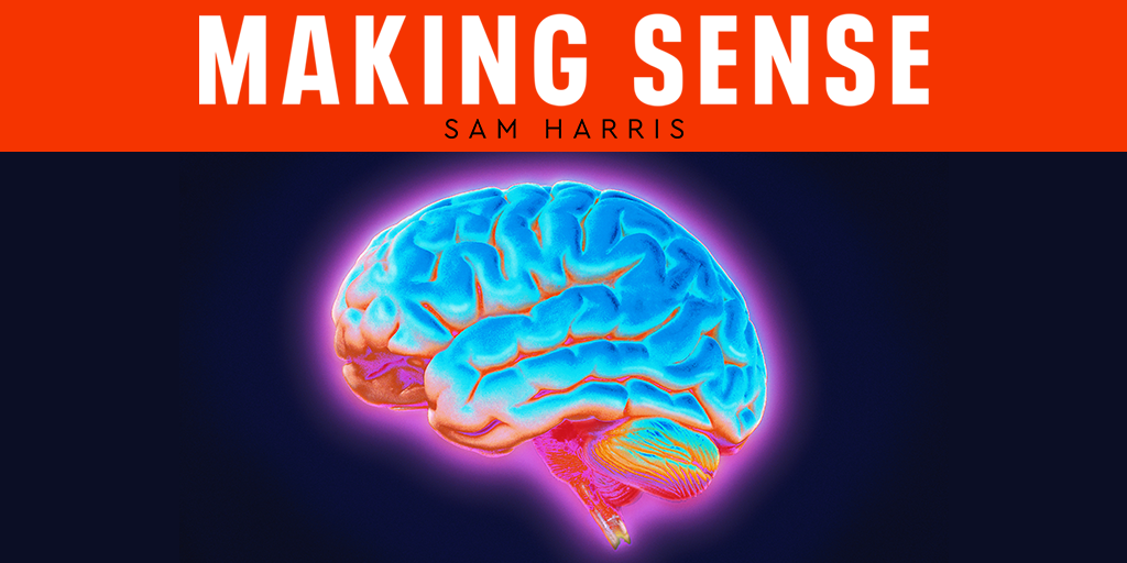 Sam Harris | #247 - Constructing Minds