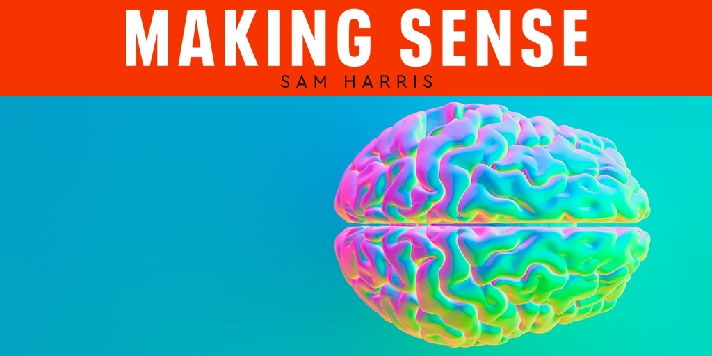 Sam Harris | #377 - The Future of Psychedelic Medicine