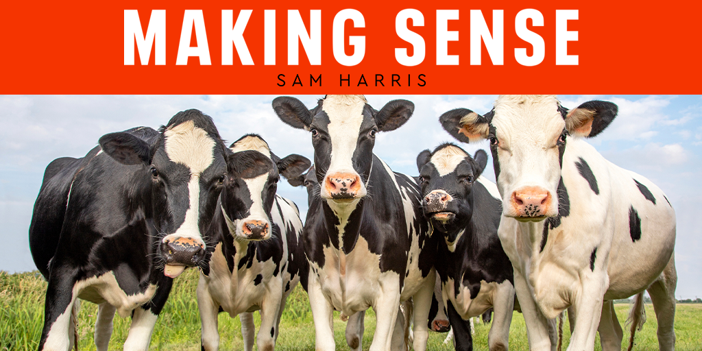 Sam Harris | #342 - Animal Minds & Moral Truths